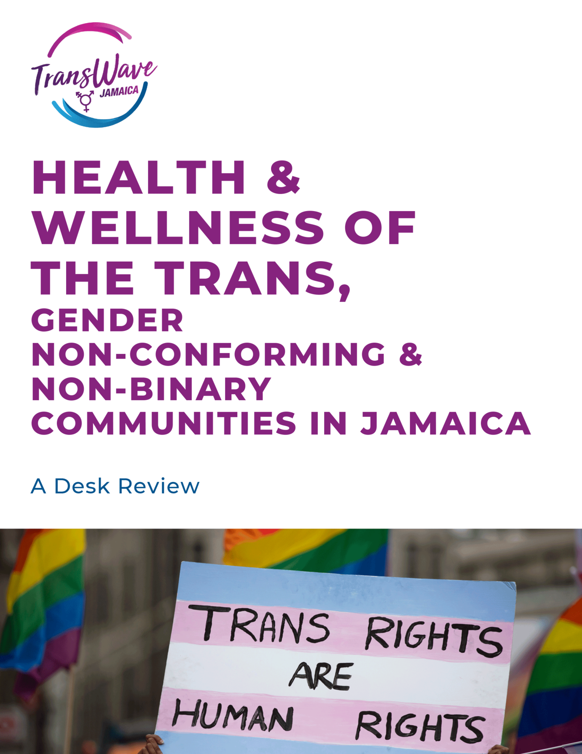 Reports & Guides - Transwave Jamaica