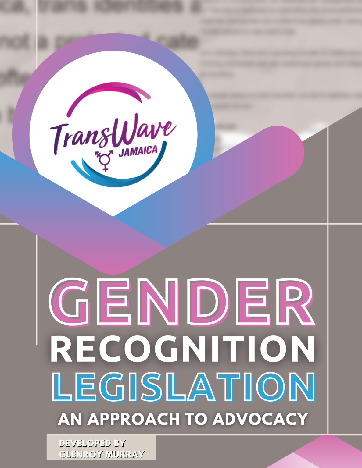 Gender Recognition Legislation and Approach to Advocacy - Transwave Jamaica